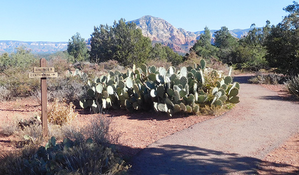 Arizona Trailblazers - Trip Report