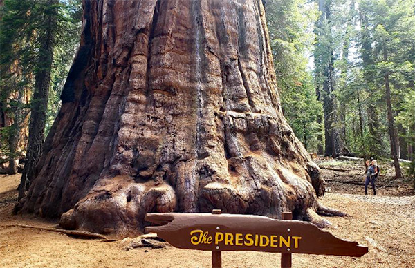 Arizona Trailblazers - Trip Report