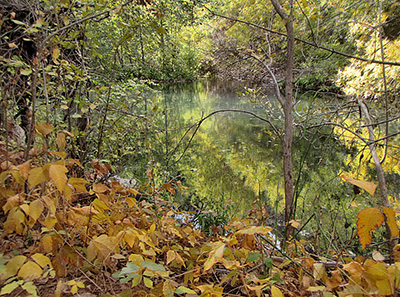 Arizona Trailblazers - Trip Report