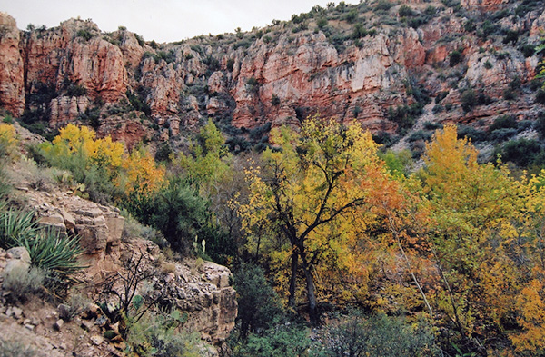 Arizona Trailblazers - Trip Report