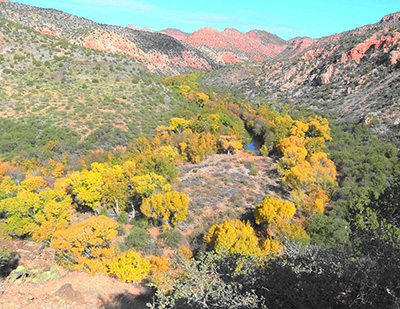 Arizona Trailblazers - Trip Report