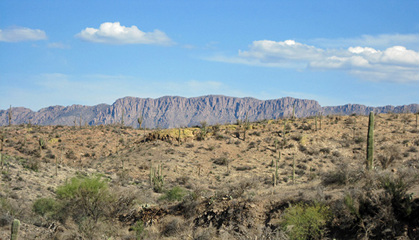 Arizona Trailblazers - Trip Report