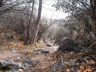 Arizona Trailblazers - Trip Report