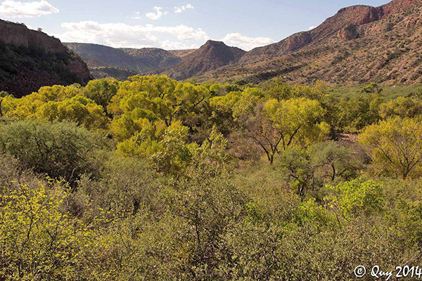 Arizona Trailblazers - Trip Report